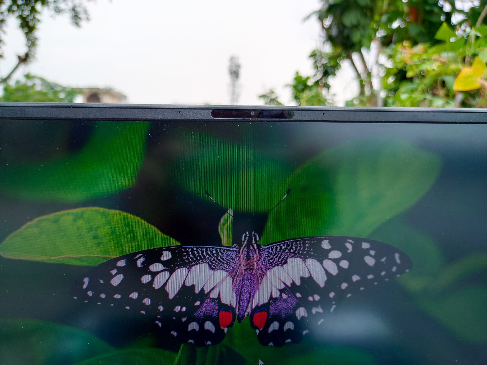 Asus ZenBook 14 UX425J Review, Pros and Cons | Smartprix.com