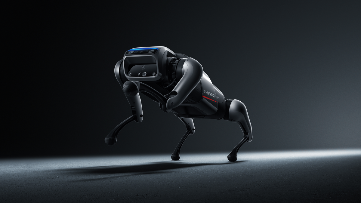Xiaomi Cyberdog flaunt its skills; Here's where you can meet in India ...